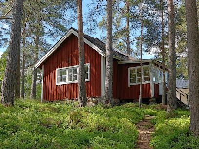 La expresión del rostro en la obra naturalista de Albert Edelfeldt ...